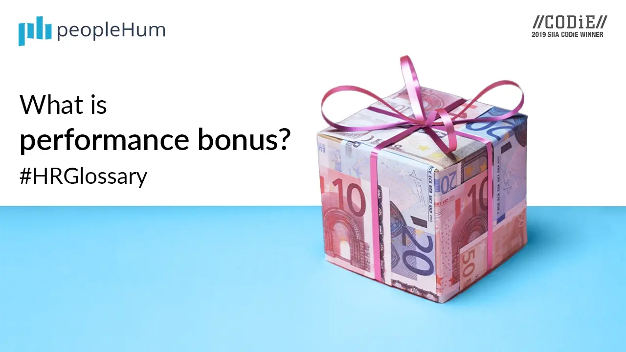 What is a Performance Bonus?