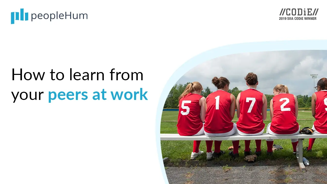 How to Learn From Your Peers at Work | peopleHum