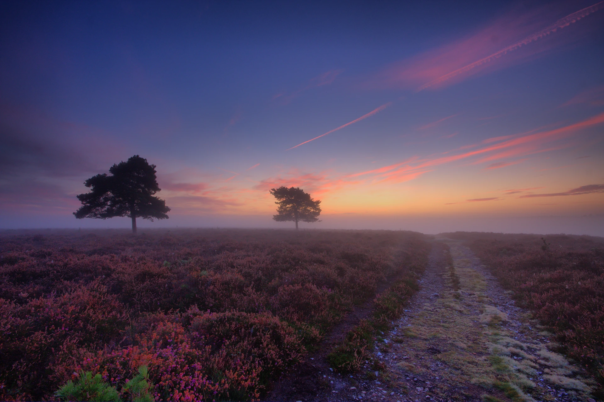 Mike Boss | Featured Artists | Pixsy