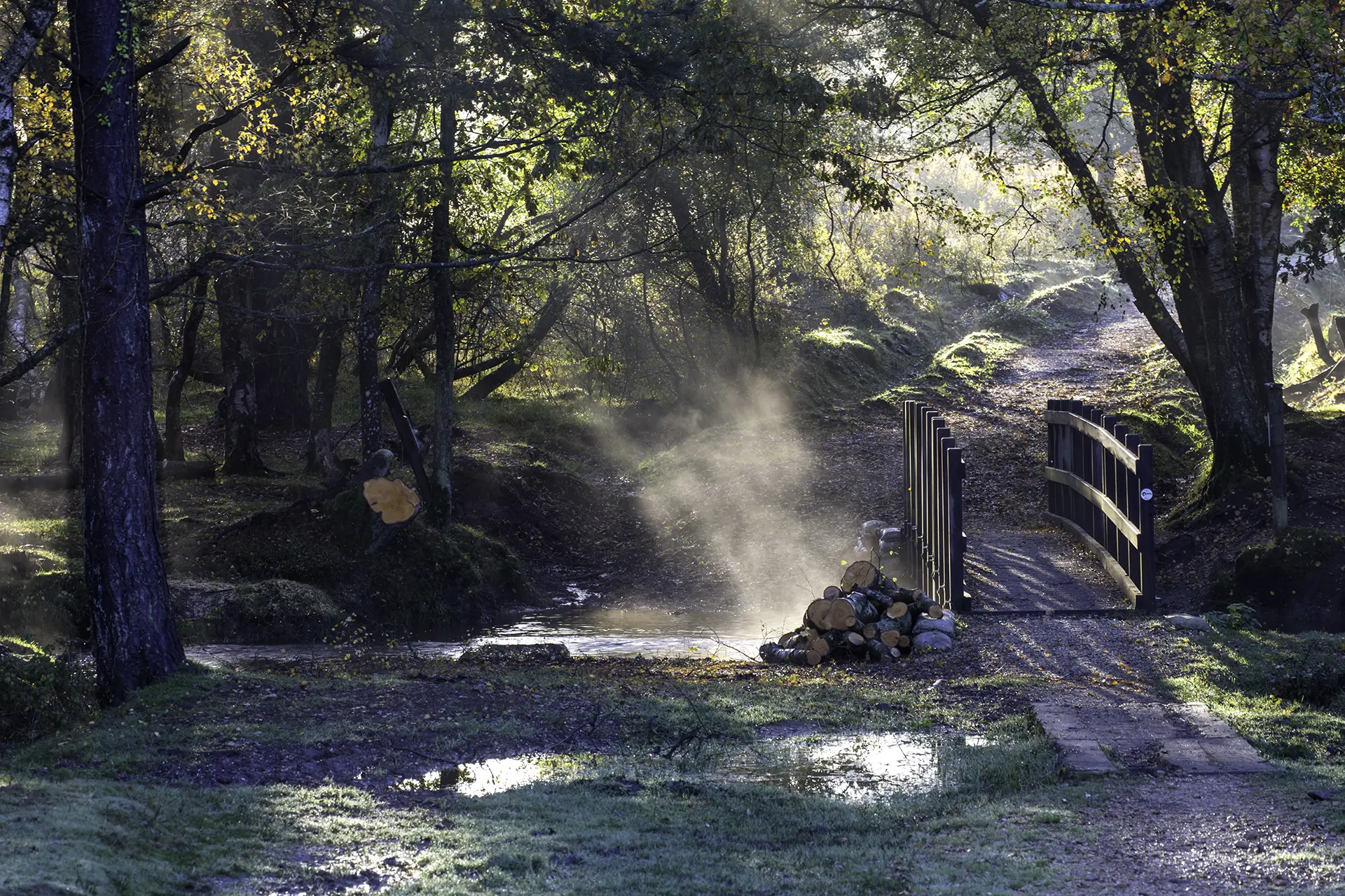 Mike Boss | Featured Artists | Pixsy