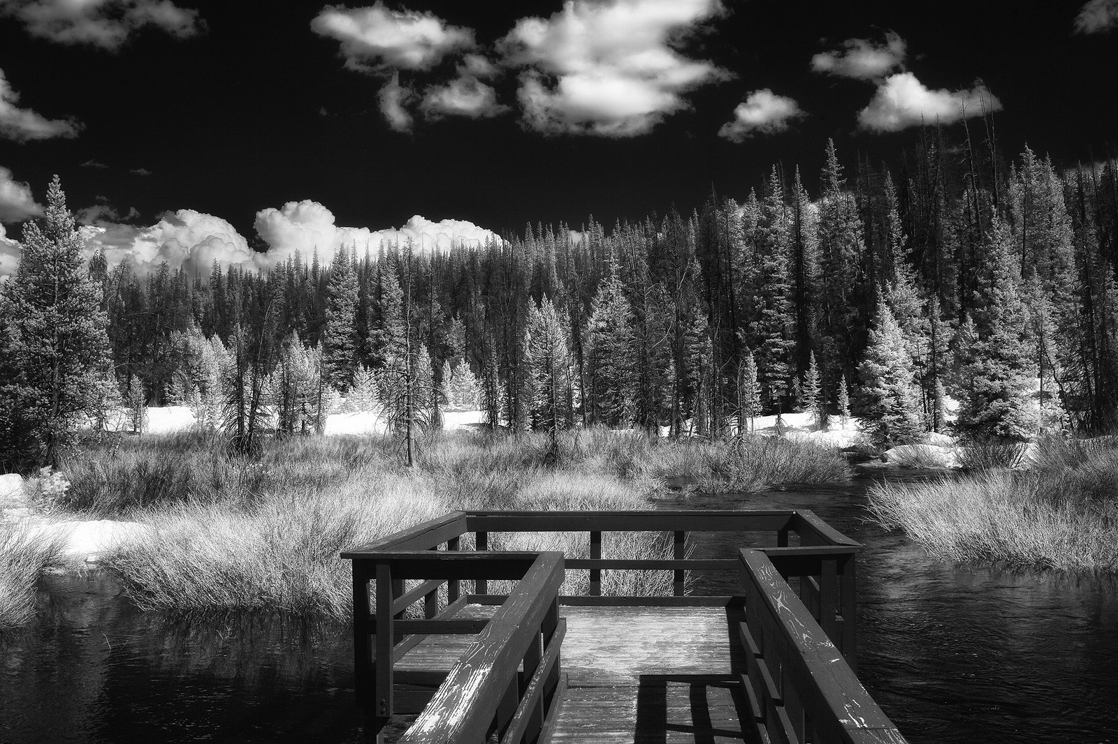 The Beginner’s Guide To Infrared Photography | Pixsy