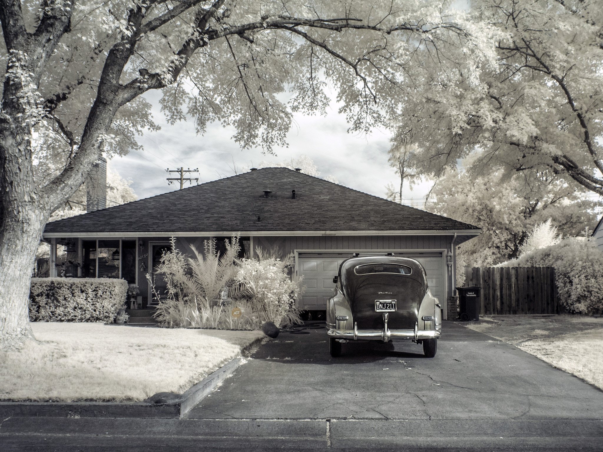 The Beginner’s Guide To Infrared Photography | Pixsy