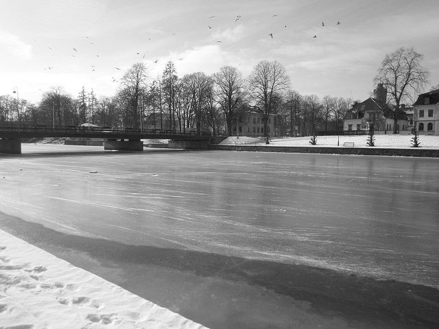 How To Correctly Attribute Creative Commons Images | Pixsy