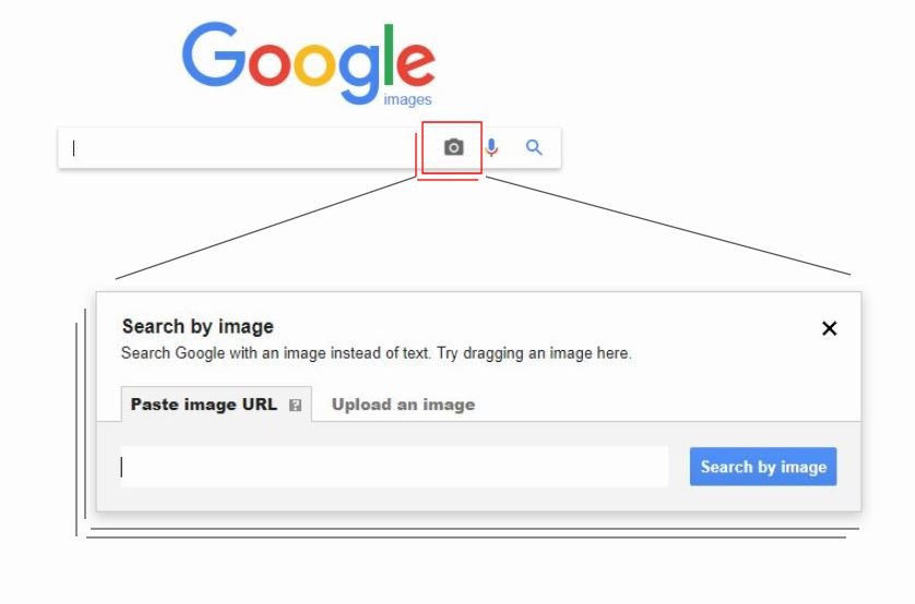 What To Do If I Used Photos Without Permission? | Pixsy