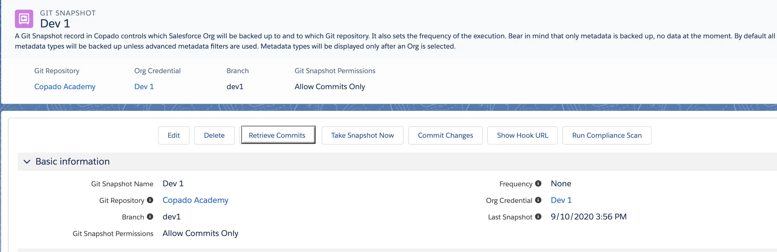 Improve Your Software Delivery Lifecycle With Copado CI/CD