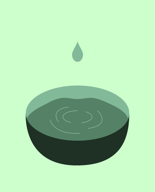 Rooted Socialite | Kava Bar