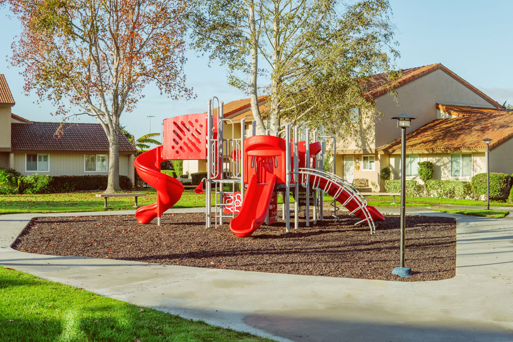 Park Events that Inspire Community Involvement | Zoom Recreation