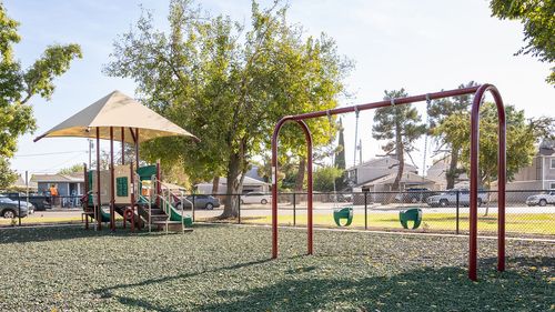 McNally Park | Zoom Recreation