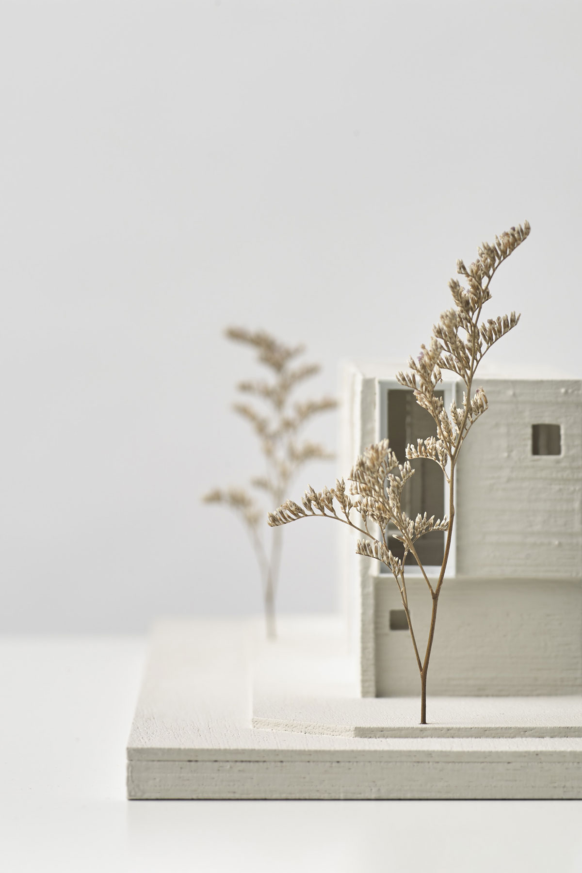 Tristan Burfield | Architecture and Interiors