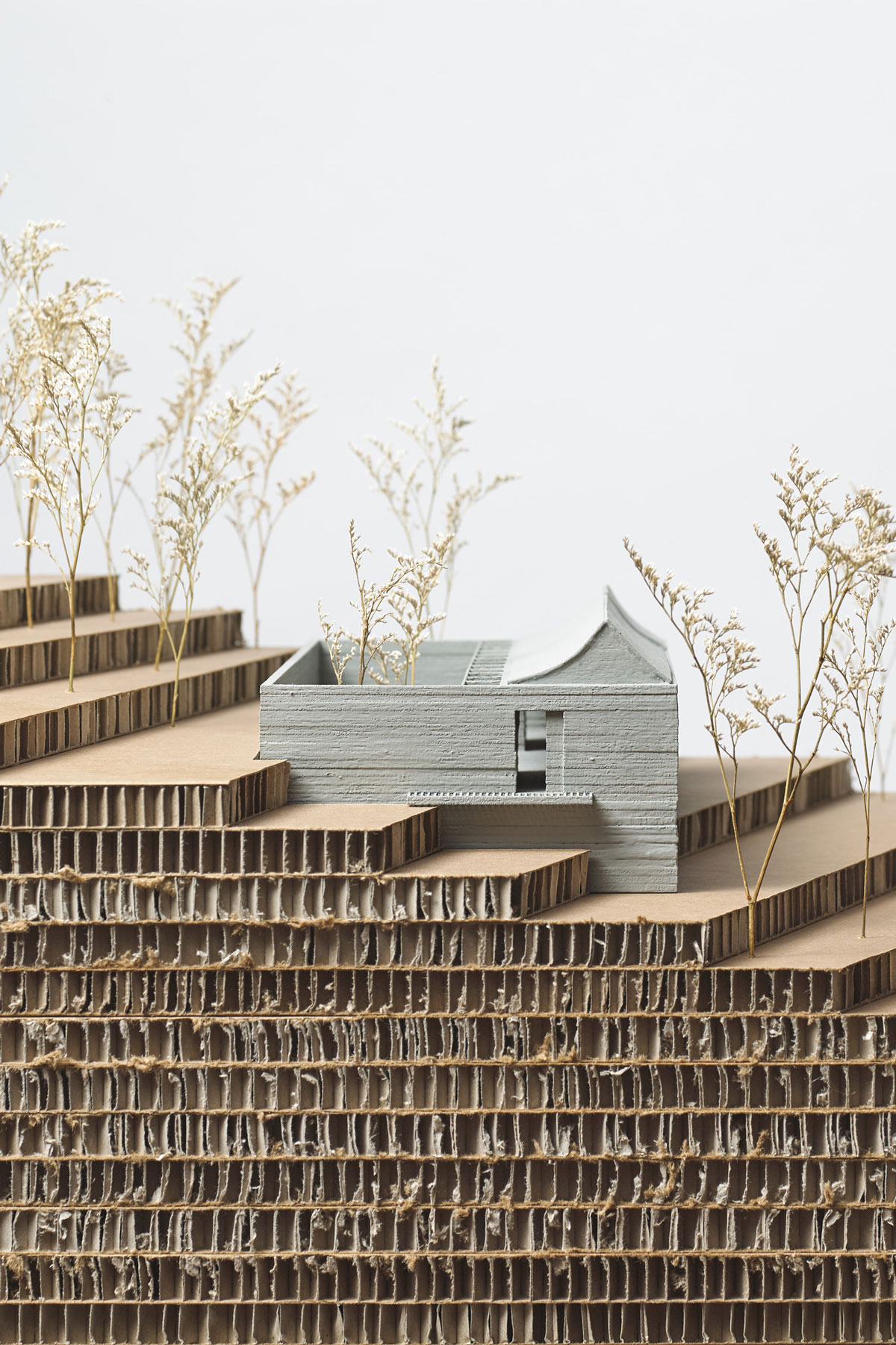 Tristan Burfield | Architecture and Interiors