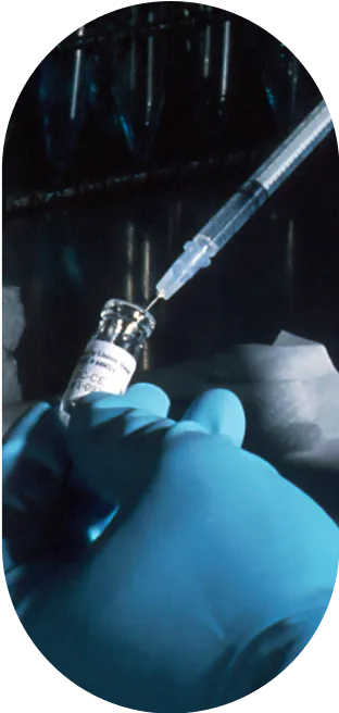 Who We Are - Nutromics