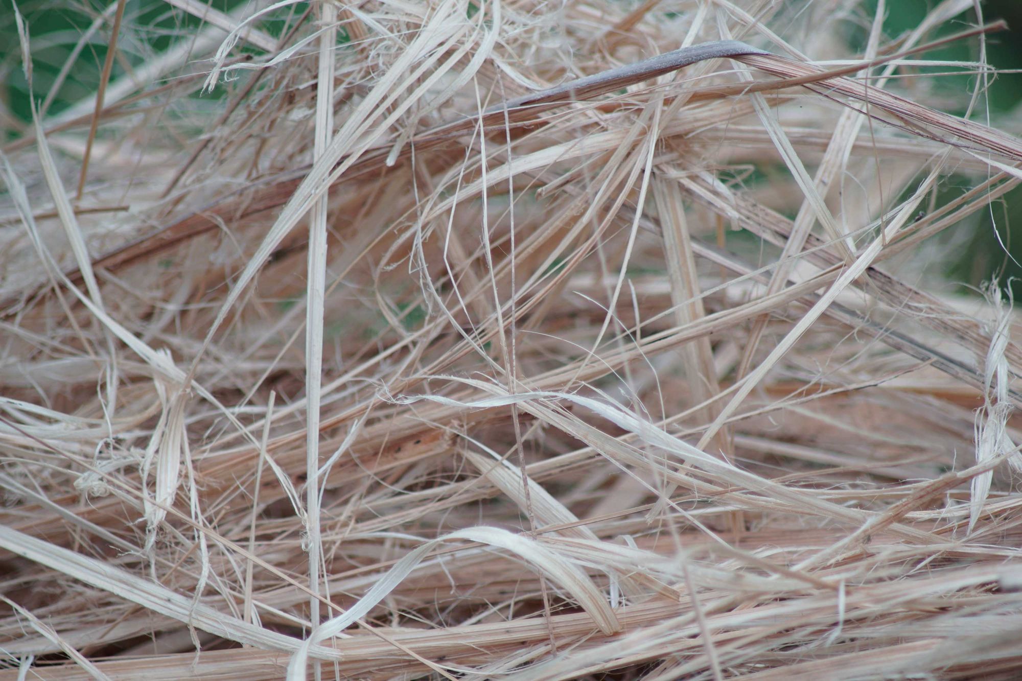 Selülozik Lifler ⎮ Karacasu Tekstil