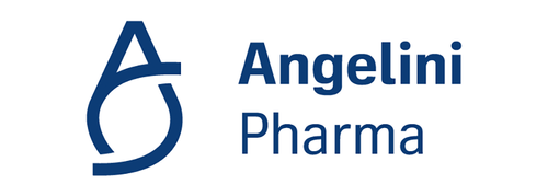 AccessiWay - The web accessibility solution