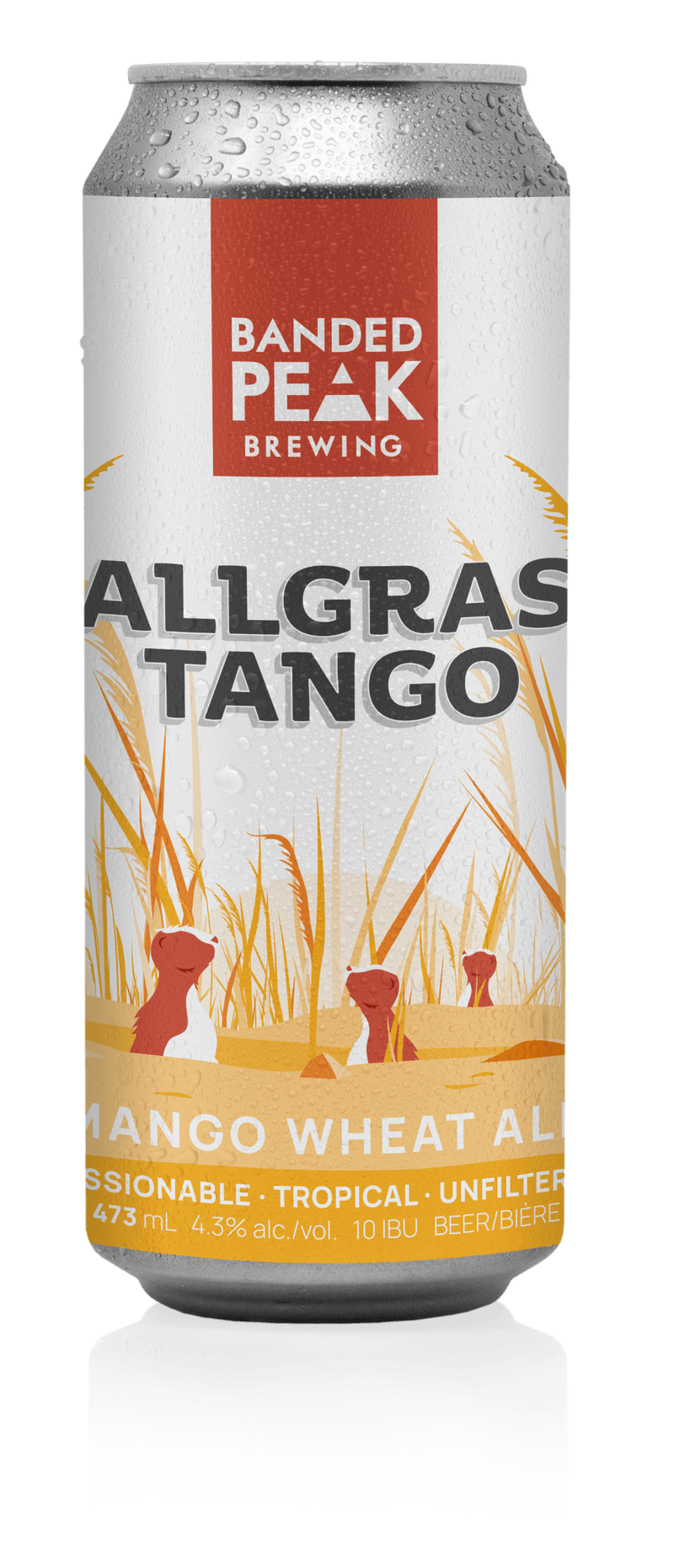 Banded Peak Brewing | Our Craft Beers