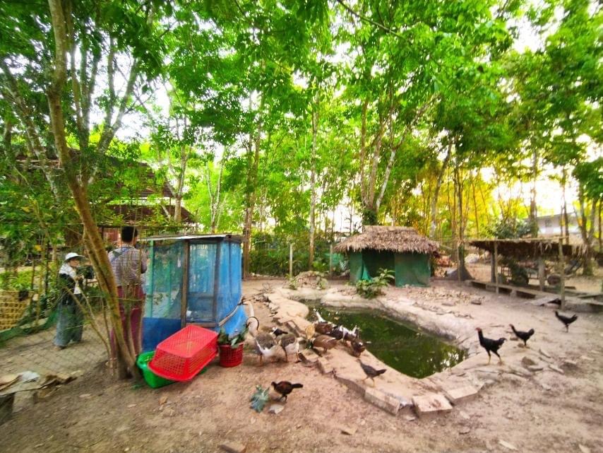 Myanmar Organic Farm: A Healthy Day Trip from Yangon