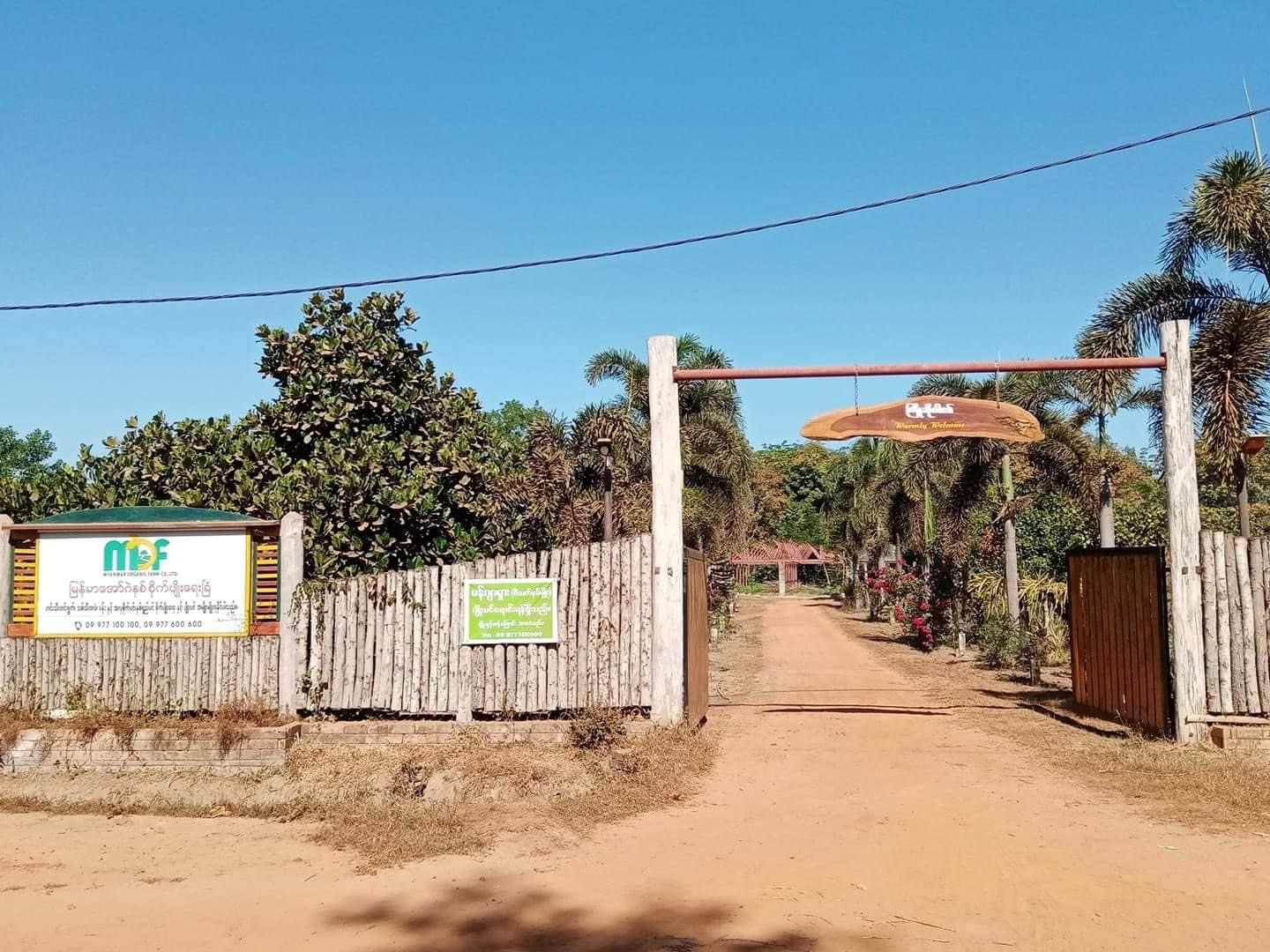 Myanmar Organic Farm: A Healthy Day Trip from Yangon