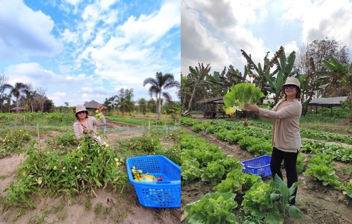 Myanmar Organic Farm: A Healthy Day Trip from Yangon