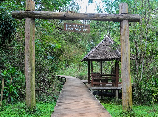 Things to do in Pyin Oo Lwin