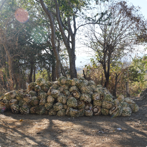 Mucho Rico Mezcal Tradicional