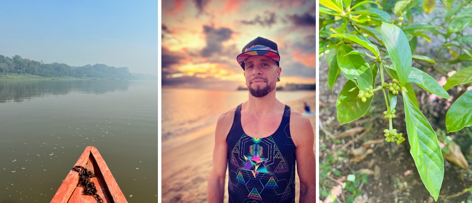 Sourcing Ayahuasca in the Amazon: A Conversation with Michael Coe