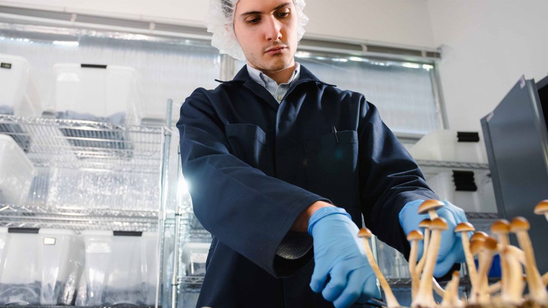 About Us | Filament Health | Psychedelic Medicines Naturally Derived