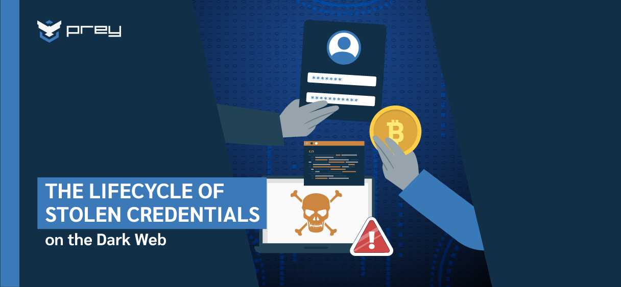 Dark web: lifecycle of stolen credentials explored | Prey