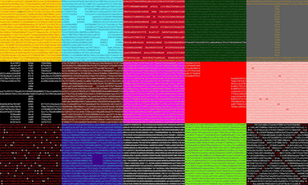 Create NFTs for Free on OpenSea | OpenSea