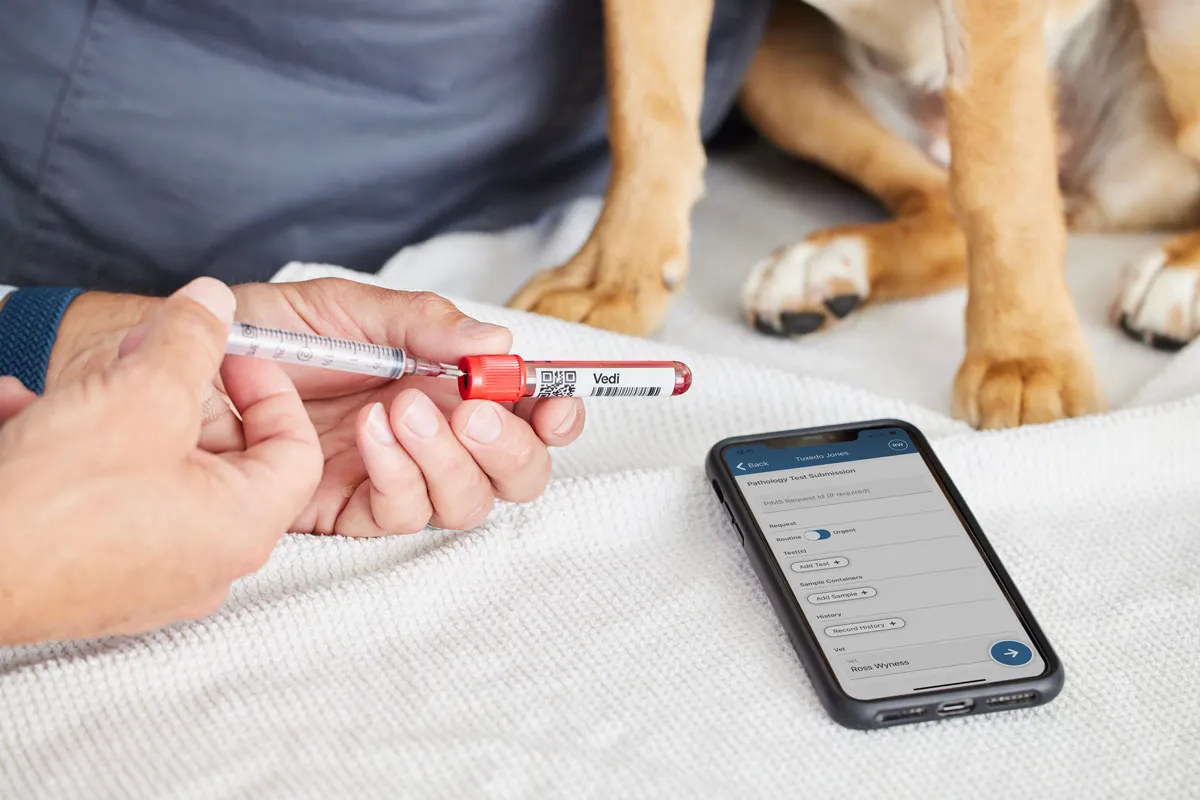 Connect Gribbles Veterinary Pathology | Vedi