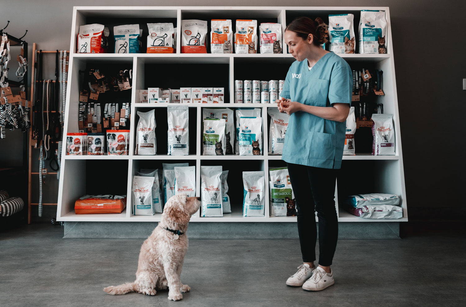 How to register a microchip in 30 seconds | Vedi