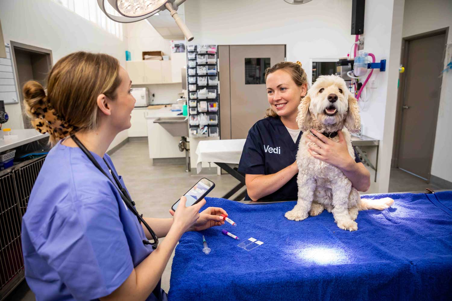 Vedi's Pathology Offering Now Includes NovaVet and Vetpath Labs in WA ...