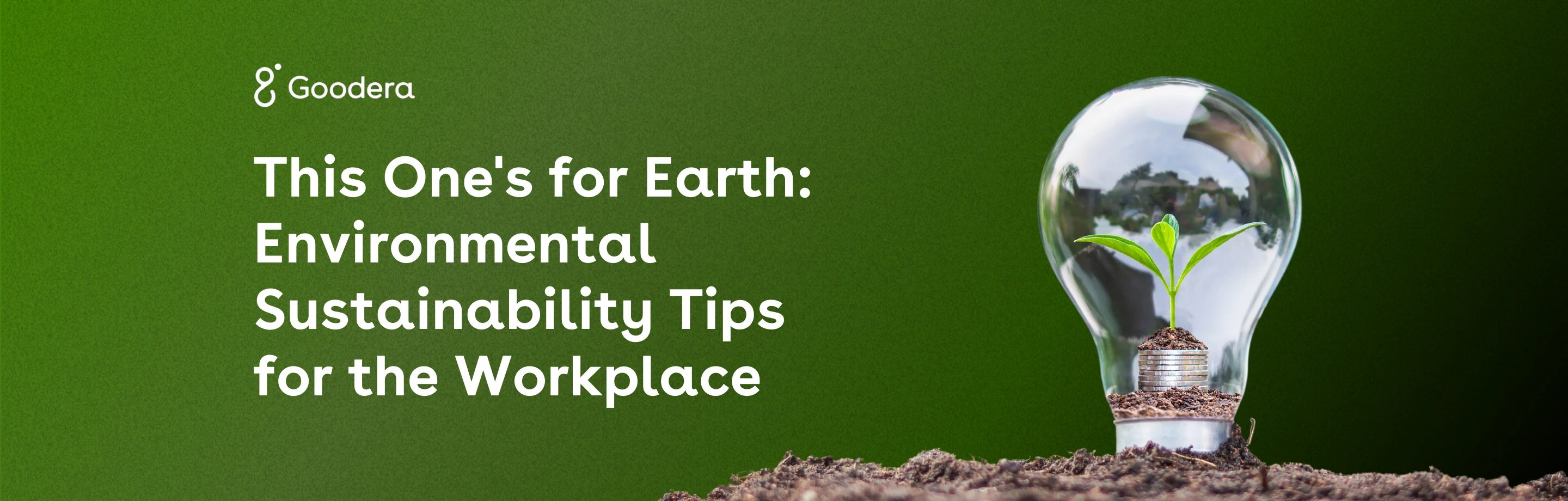 11 Ideas to Promote Sustainability at the Workplace
