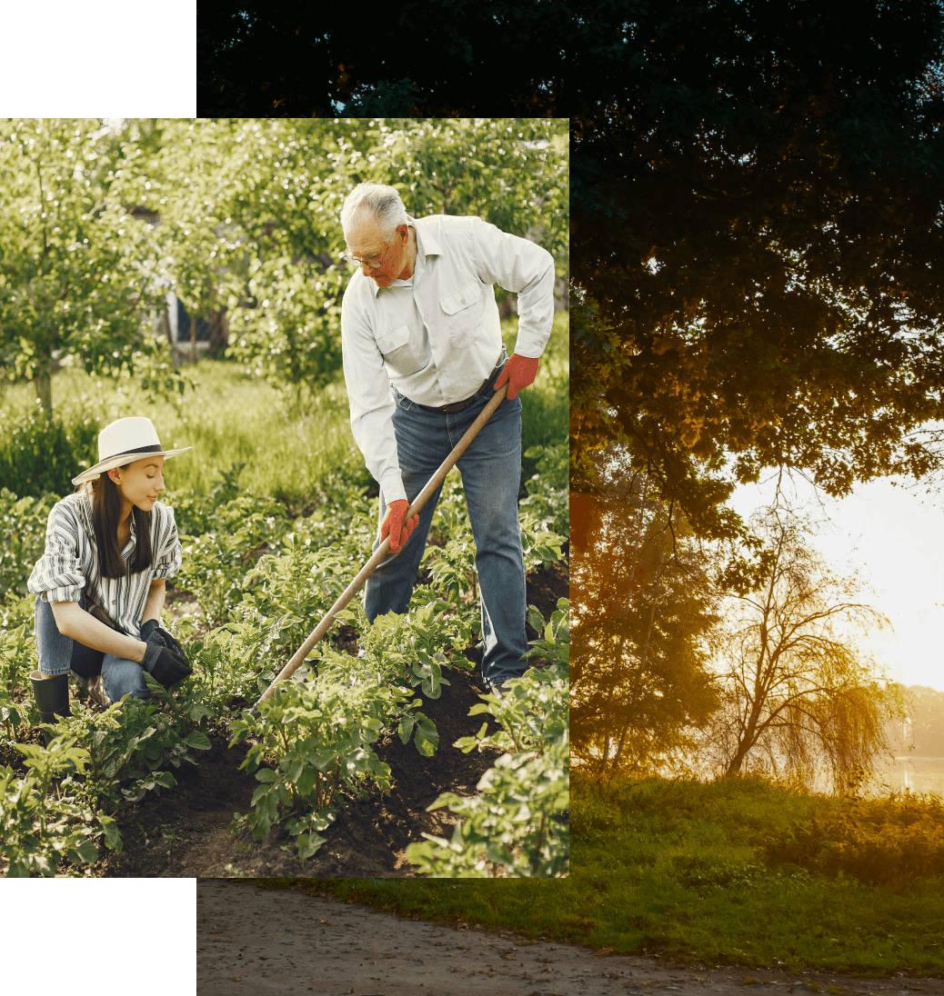 Life at Balentine | Balentine