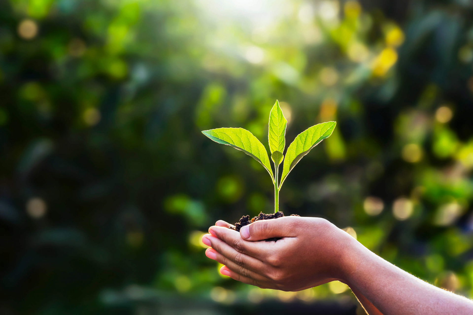 Statement zur Umweltstrategie