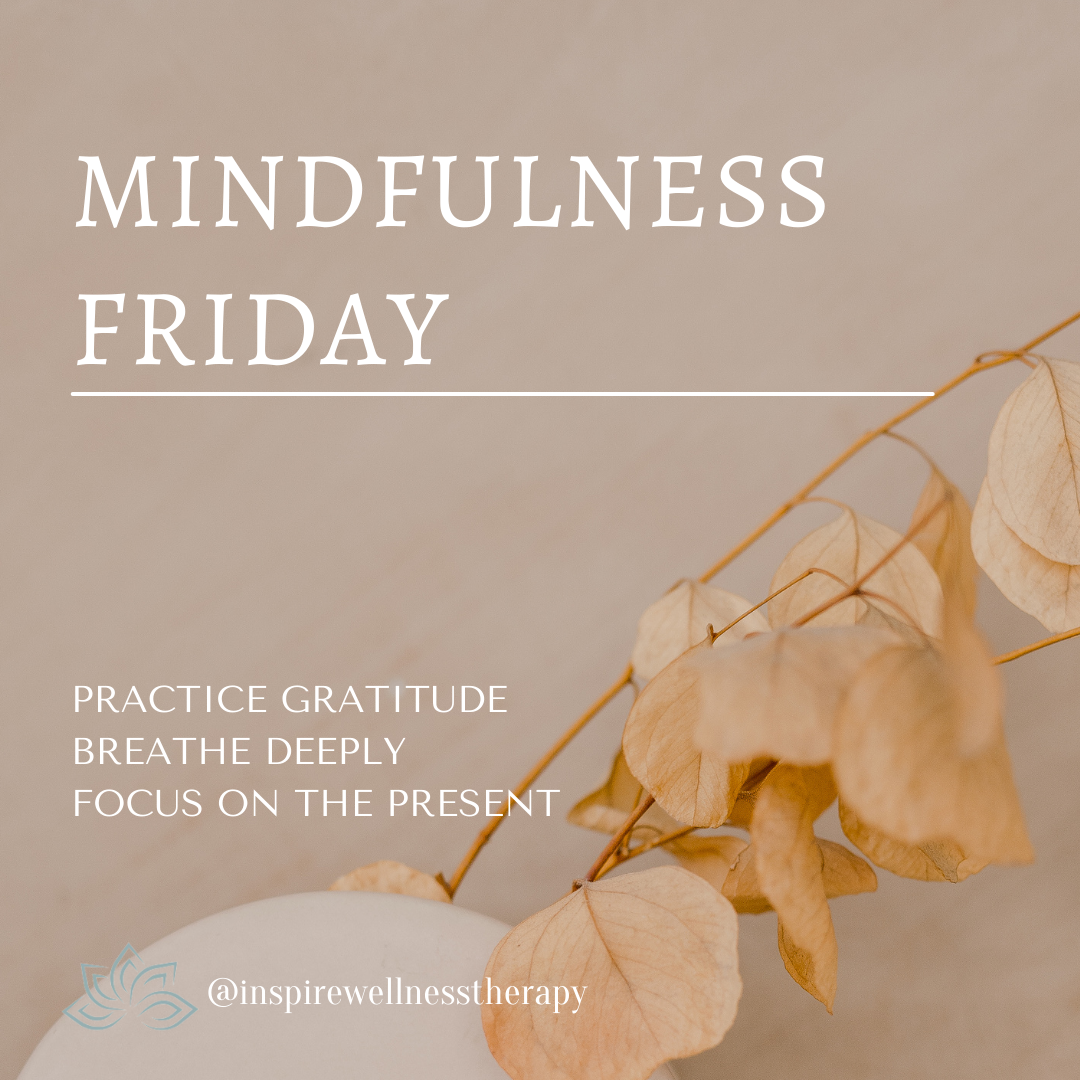 Social Media Reseller White Label Program - Feedbird