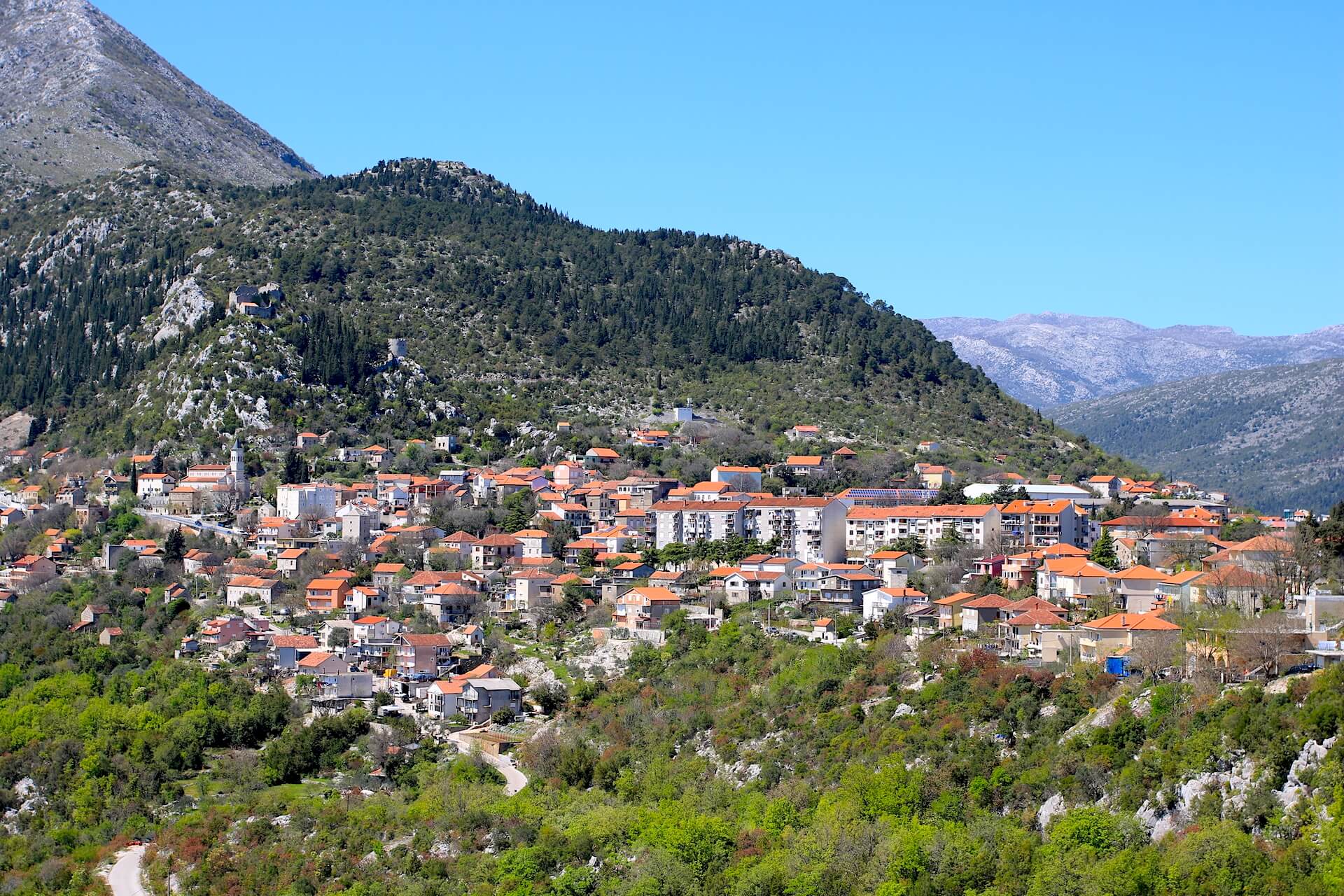 Bikla – Croatian Purple Drink You’ll Fall in Love With