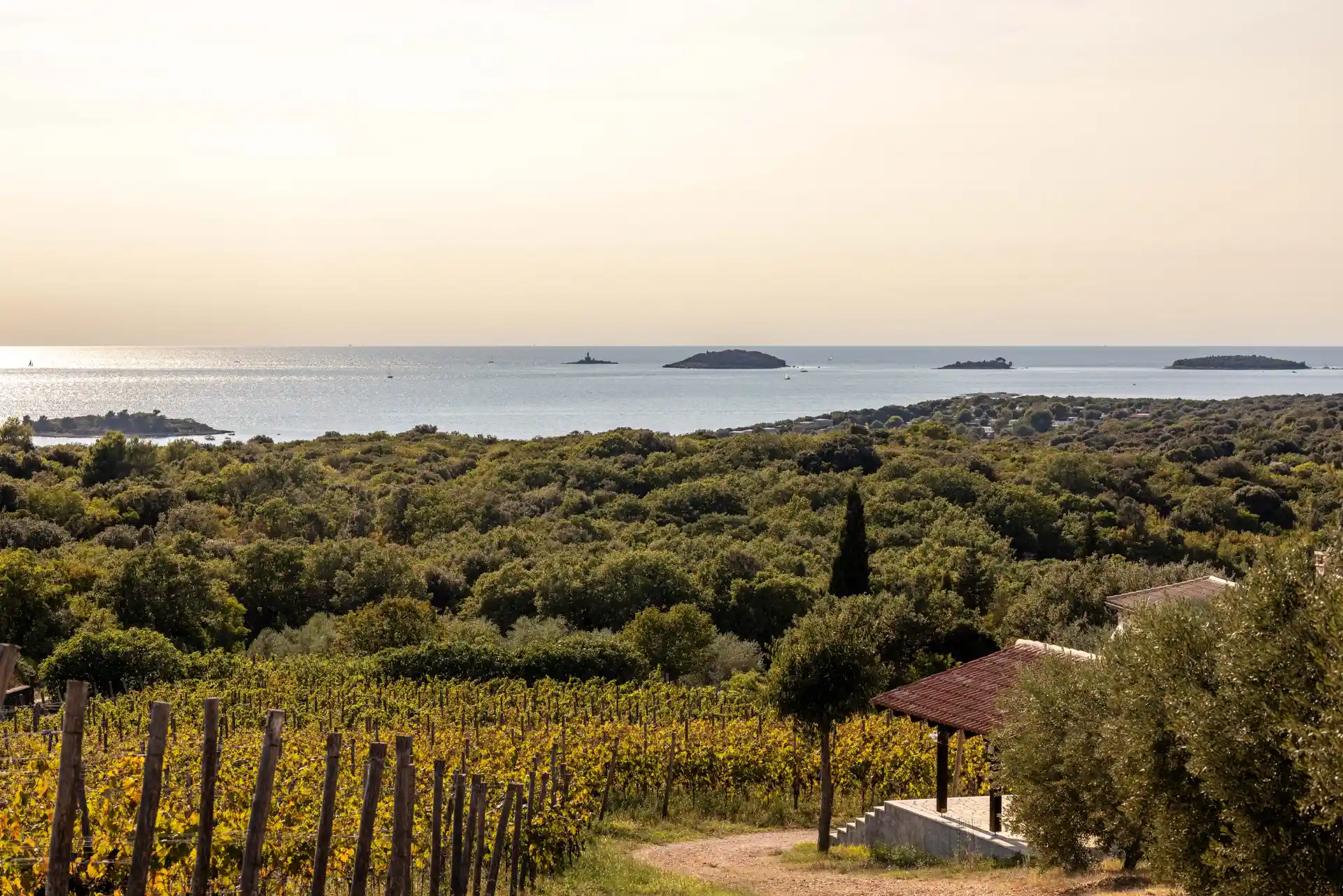 A Wine Weekend Getaway in Picturesque Istria Region