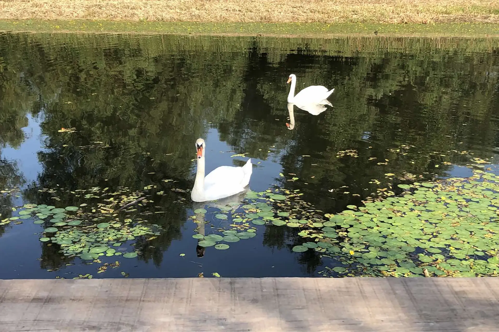 Captivating Weekend Getaway to the Guska Holiday House in Kopačevo