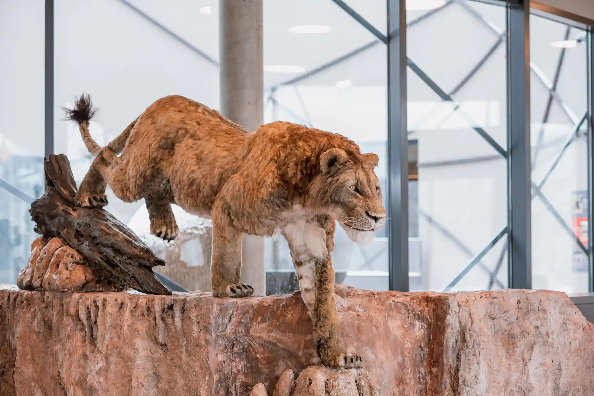 Beneath the Surface: Breathtaking Barać Caves and Speleon Adventure