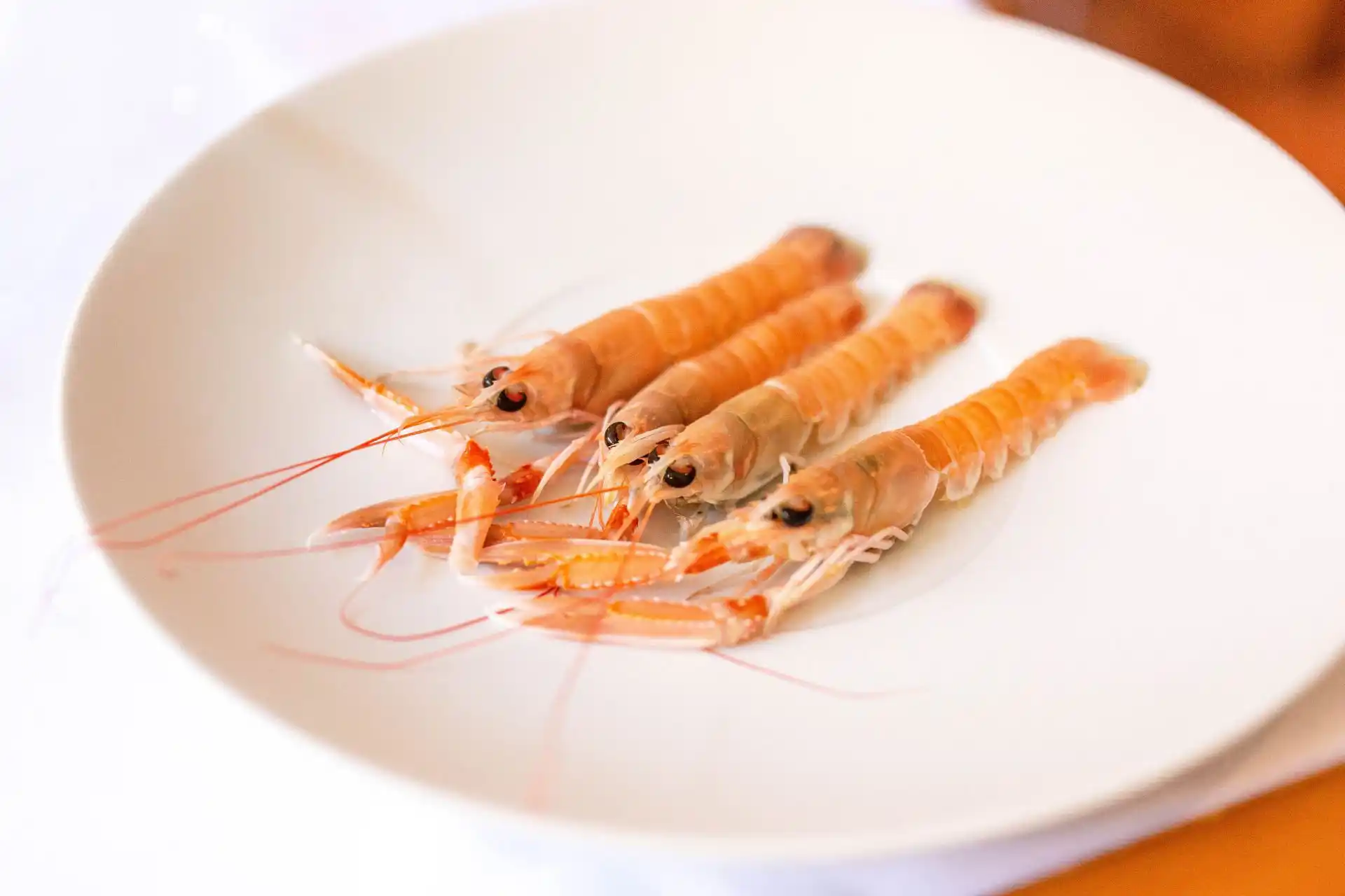 A Raw Fish and Seafood Paradise in Istria: Damir & Ornella Restaurant