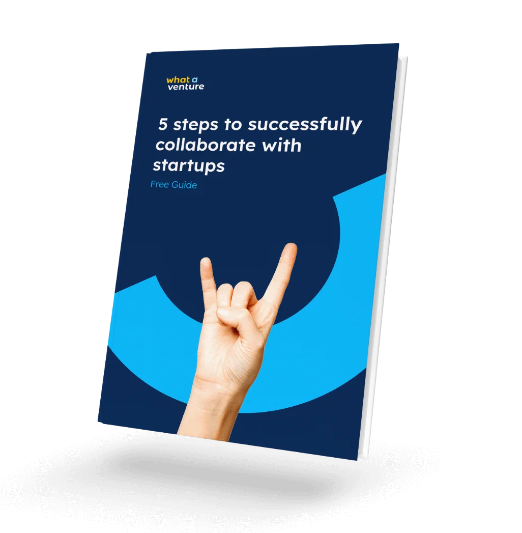 5 steps to successfully collaborate with startups - WhatAVenture
