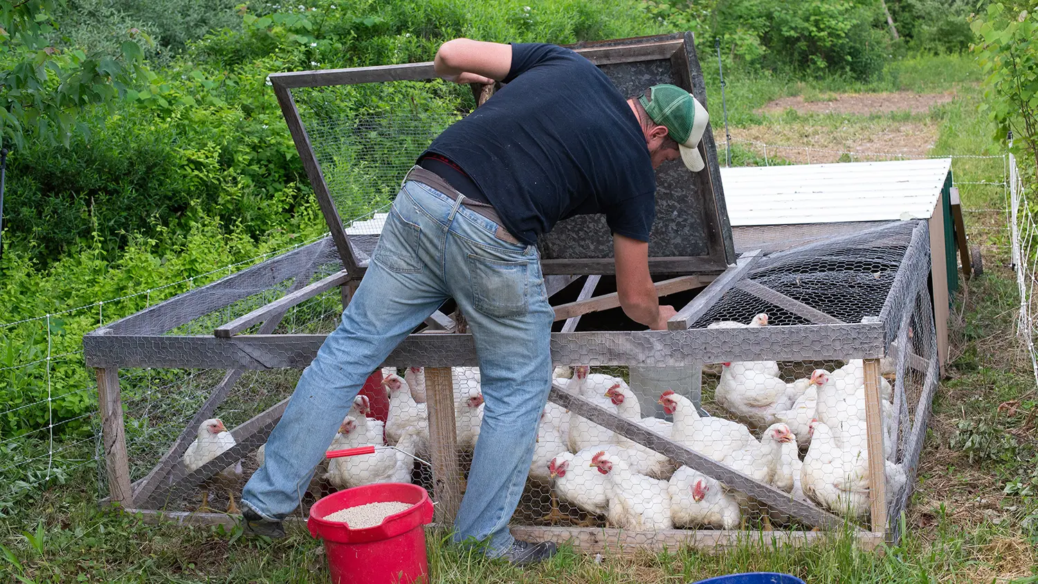 Low Back Pain | Everything You Need To Know