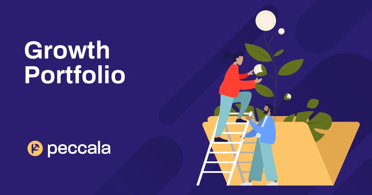 Growth Portfolio - What it is and how does it work