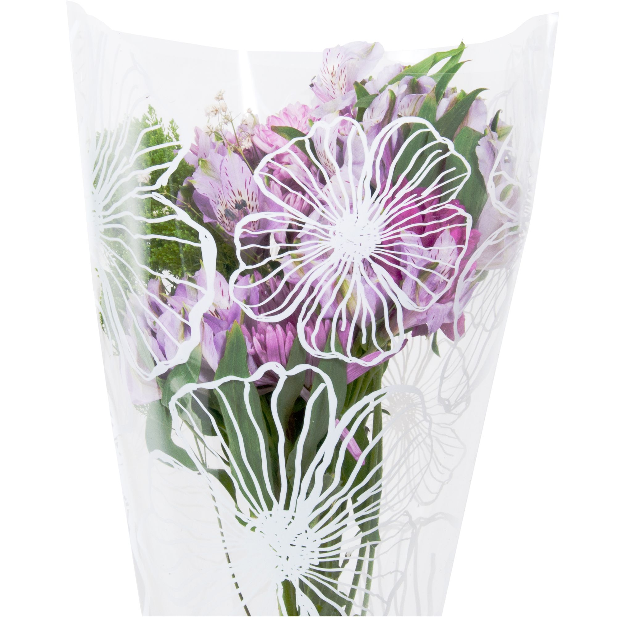 Allure Mini-Collection | A-ROO Company