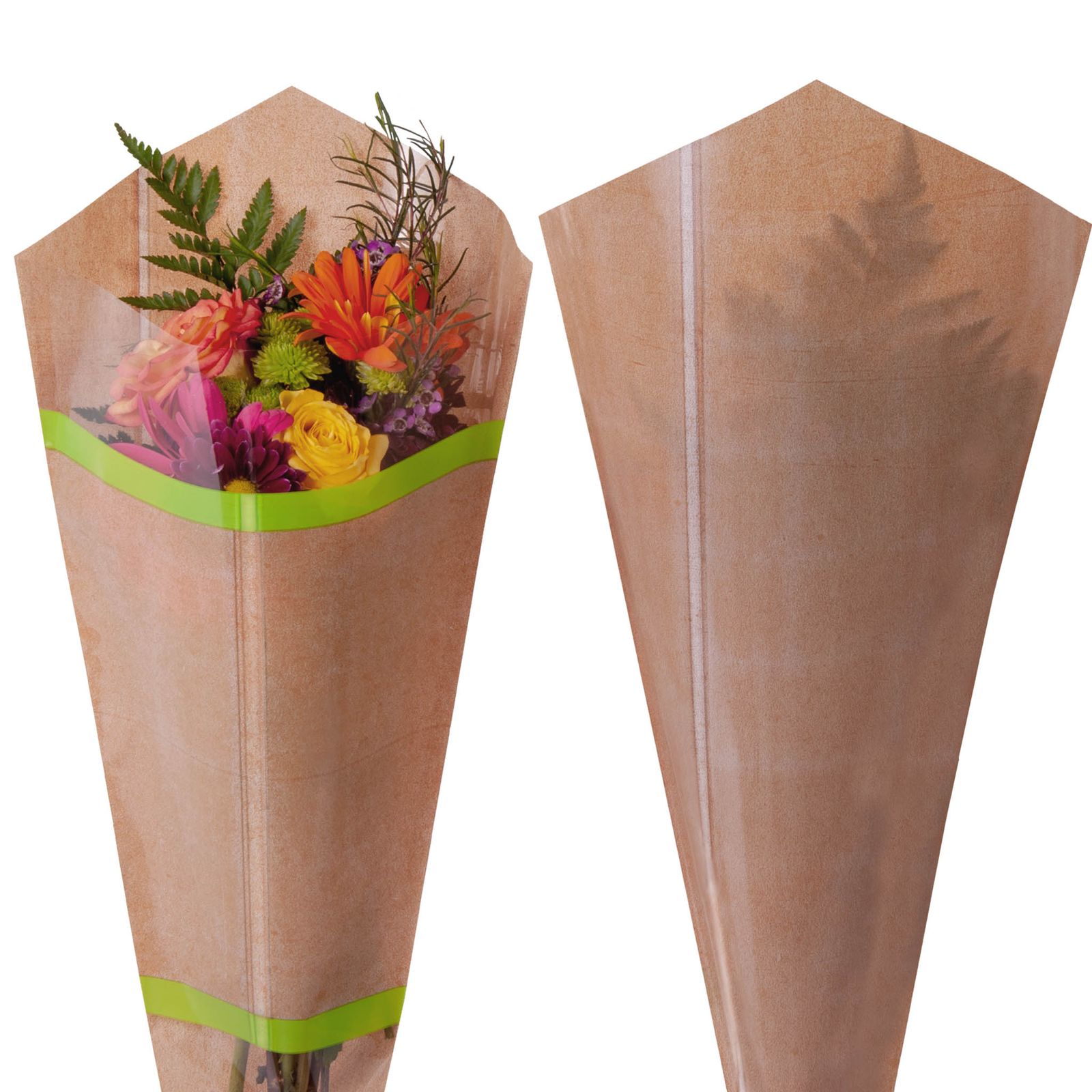 Carta Chroma | A-ROO Company