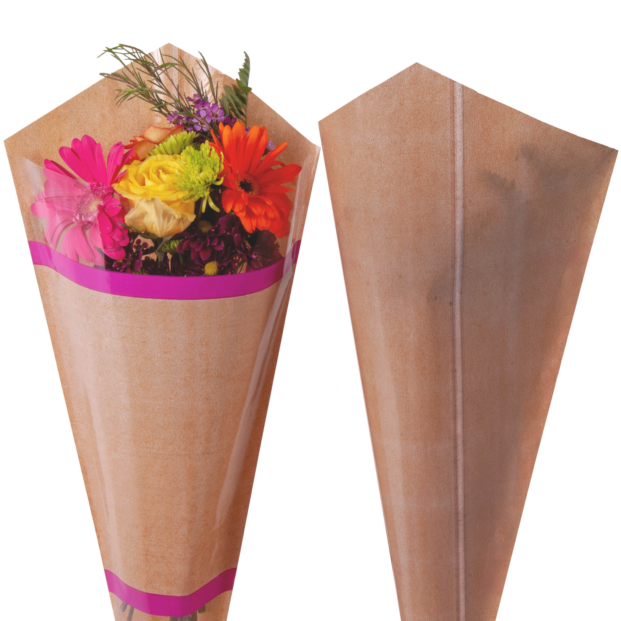 Carta Chroma | A-ROO Company