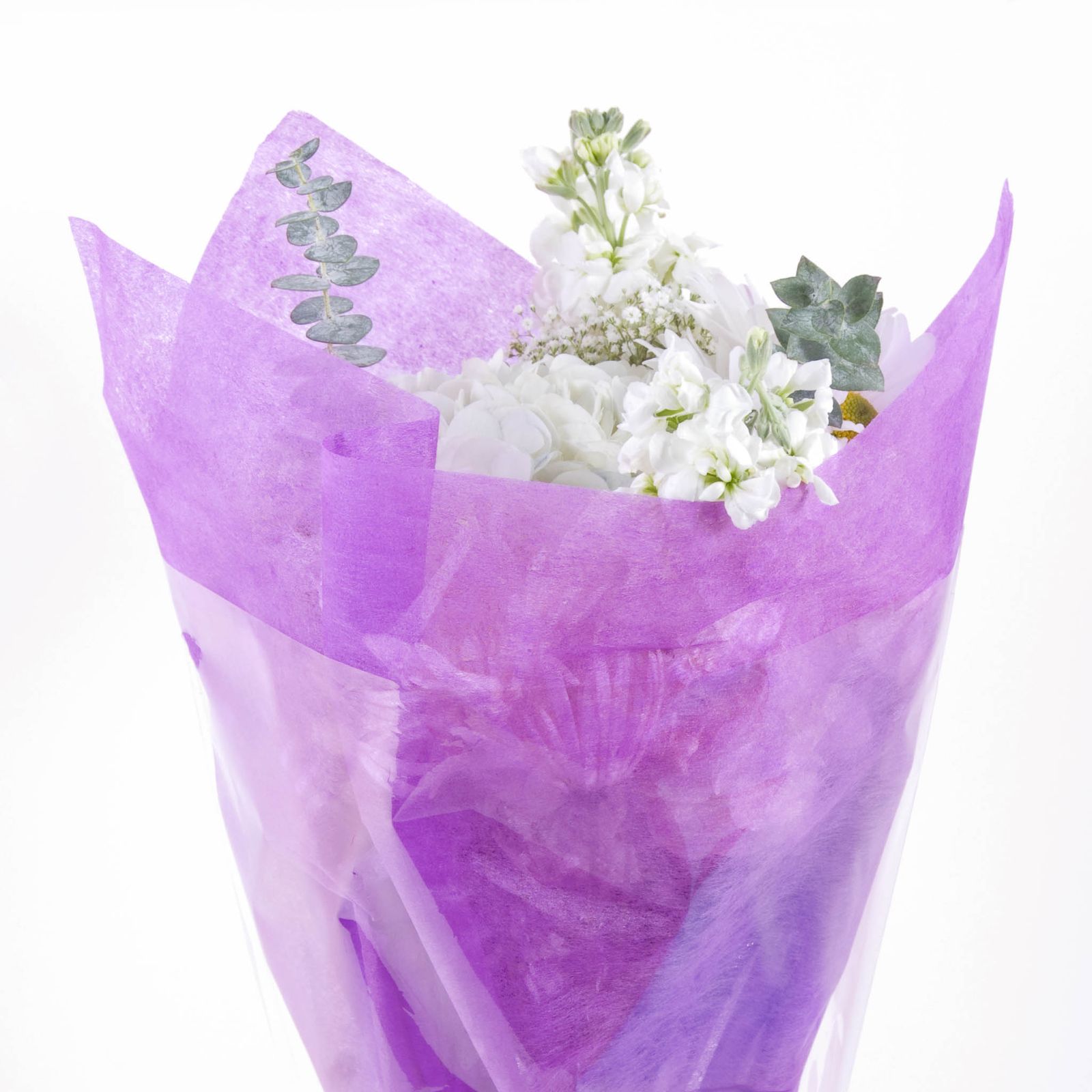 Fab Pet | A-ROO Company