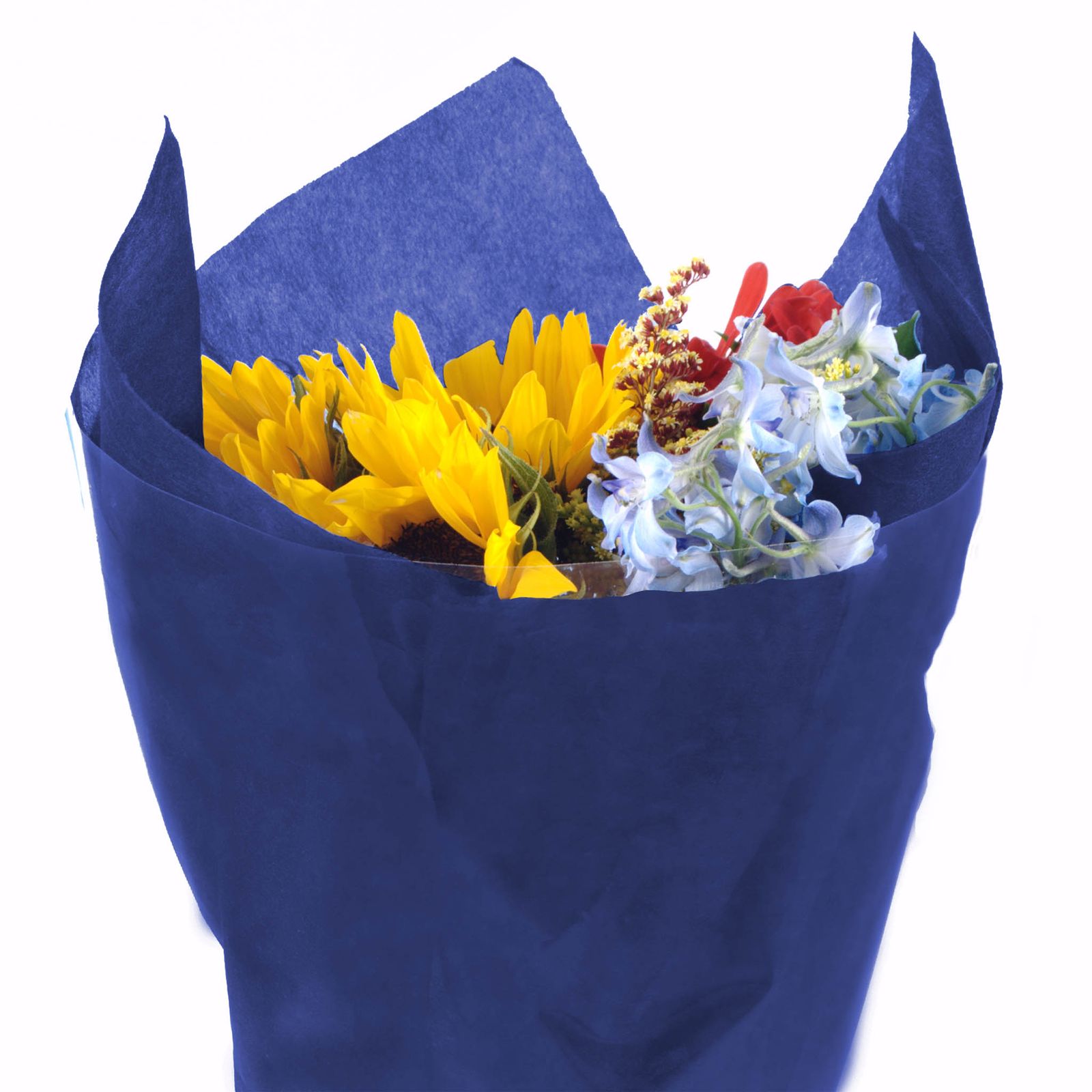 Fab Pet | A-ROO Company