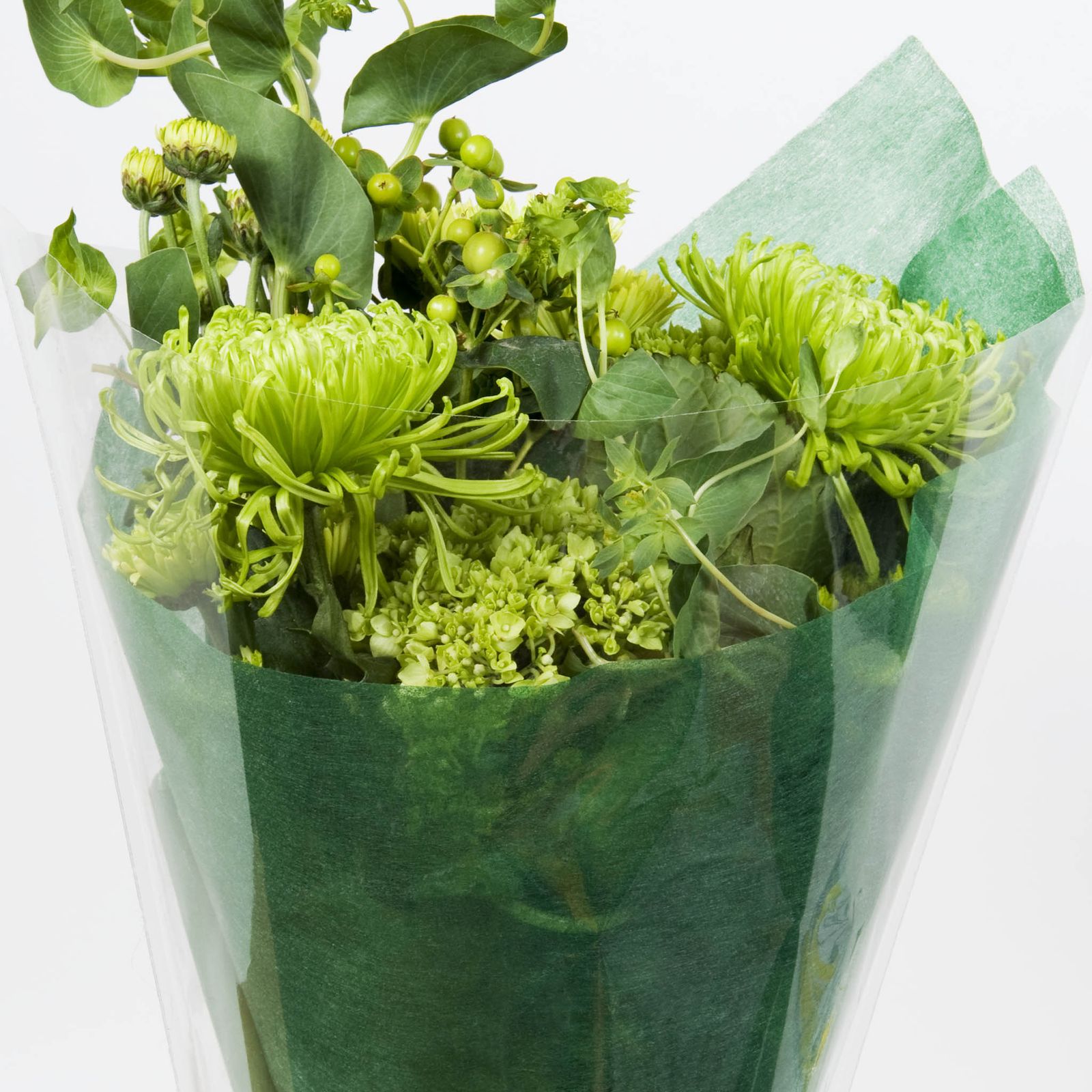 Fab Pet | A-ROO Company