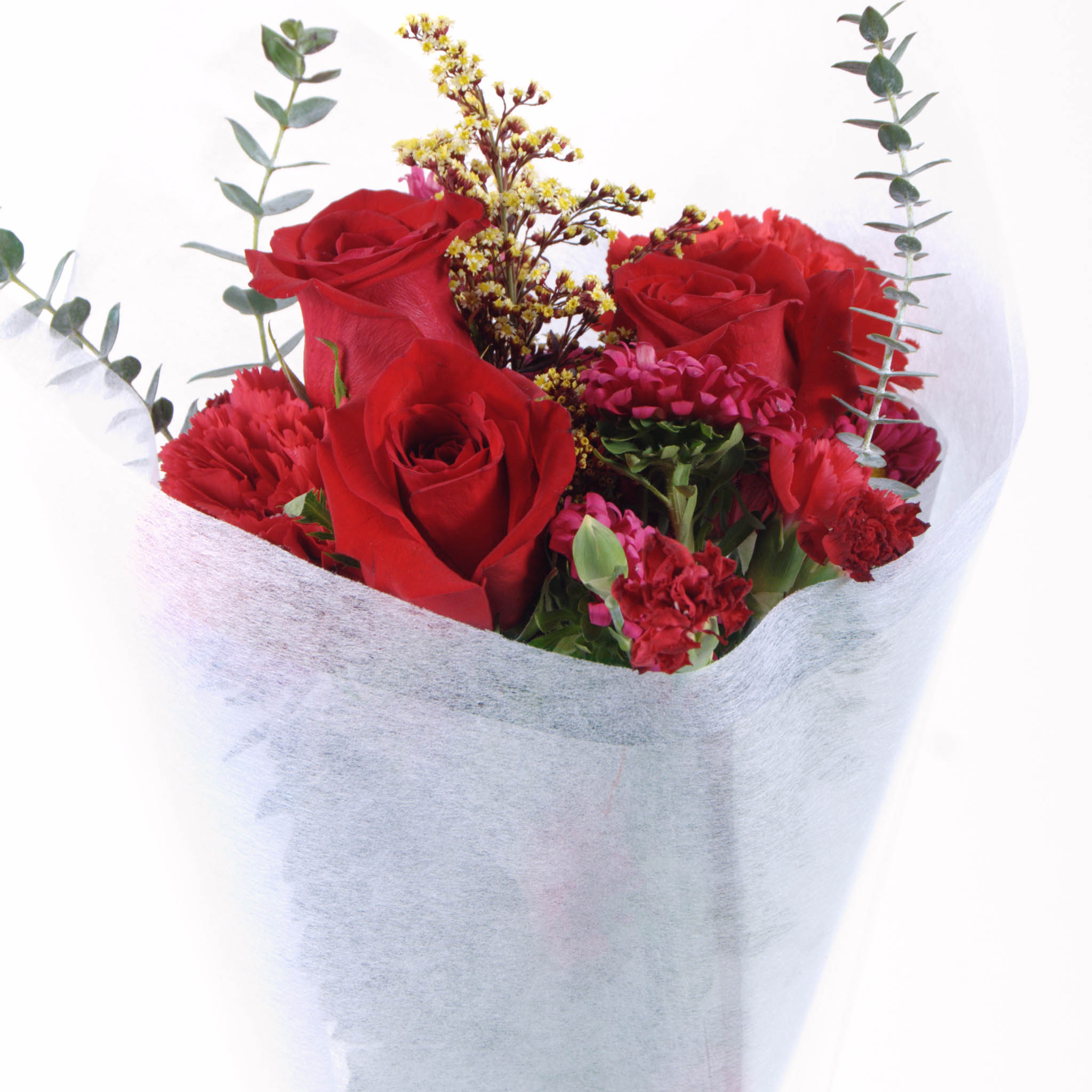 Fab Pet | A-ROO Company