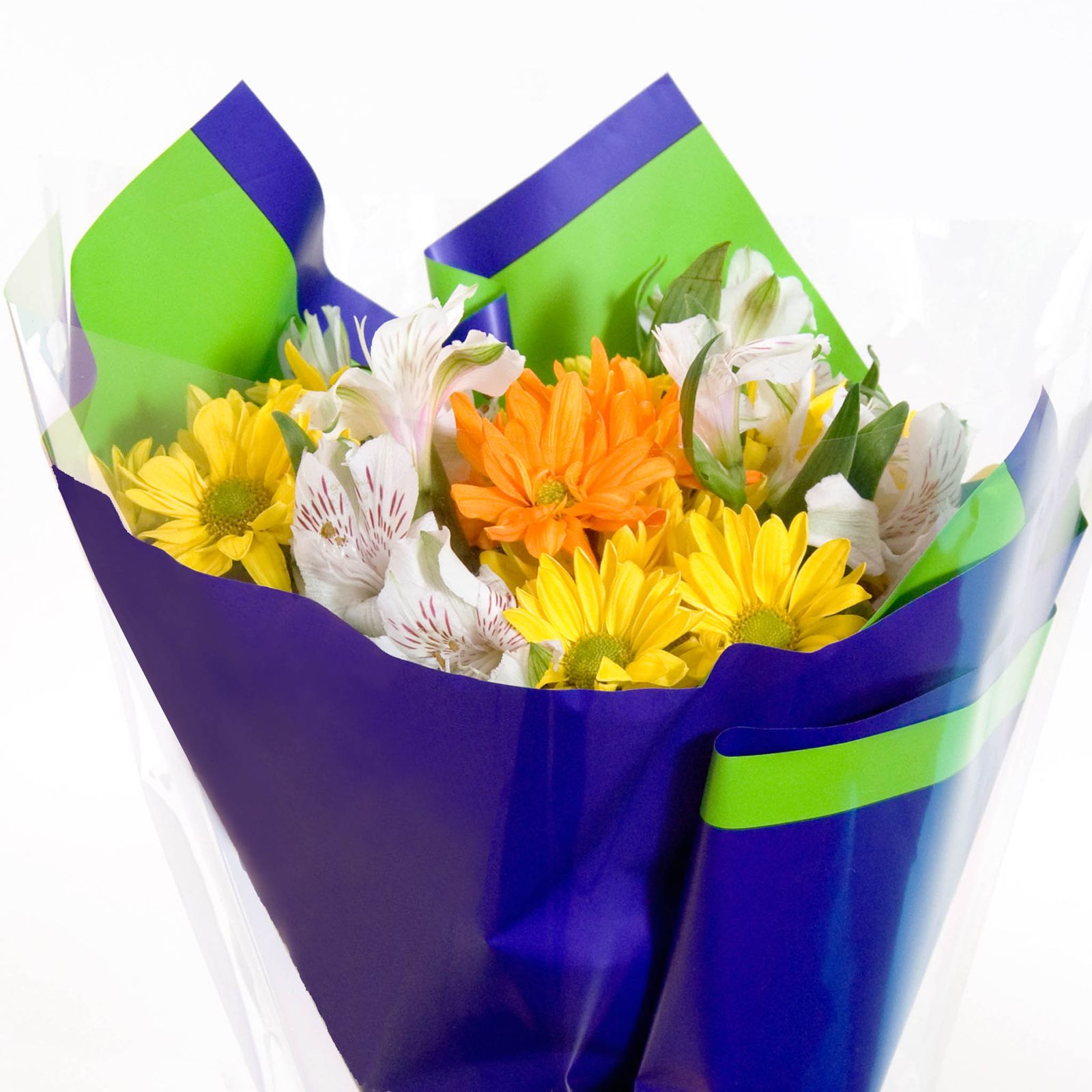 Simplicity Series 2 | A-ROO Company